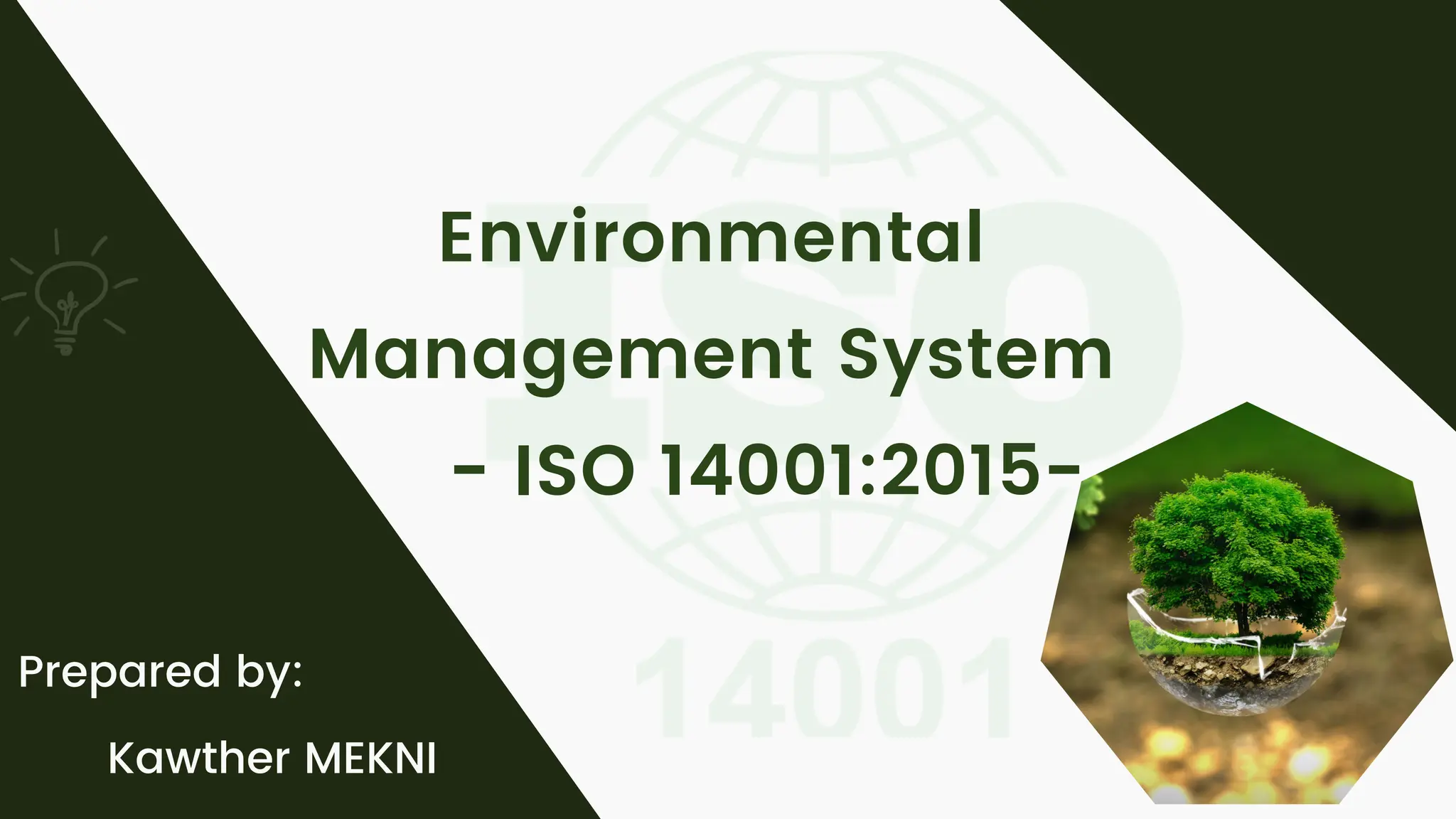 Environmental Management System - ISO 14001:2015- | PDF