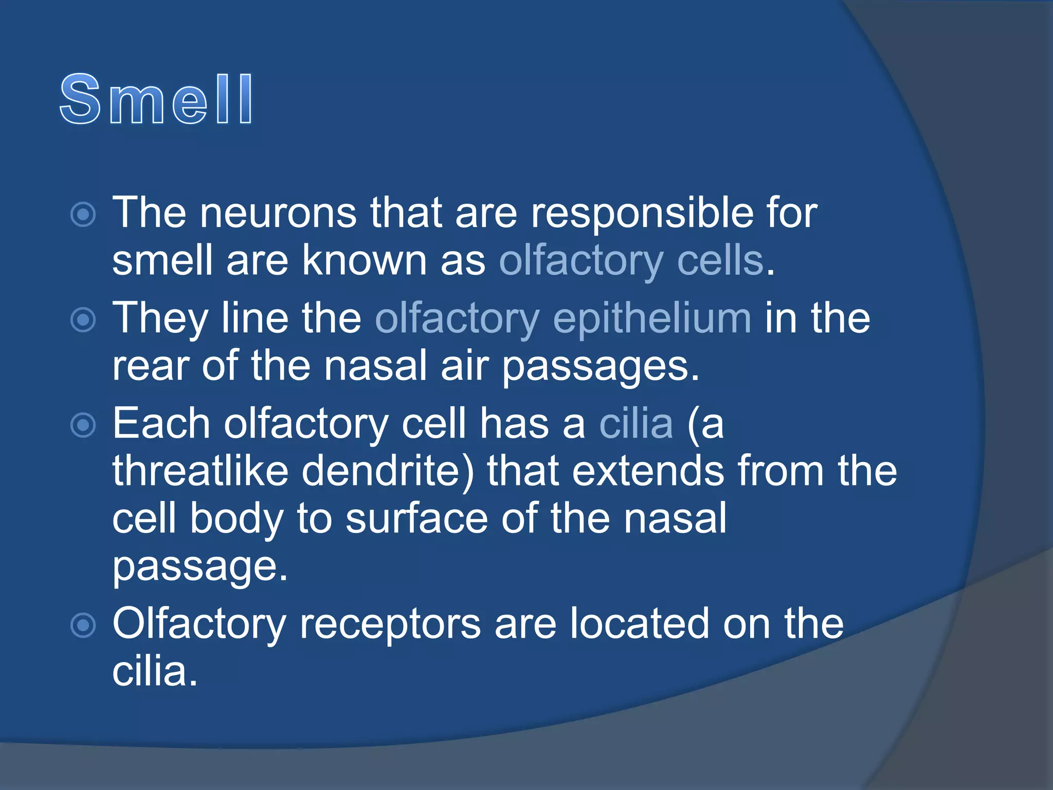 Smell | PPTX