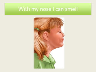 Smell | PPTX
