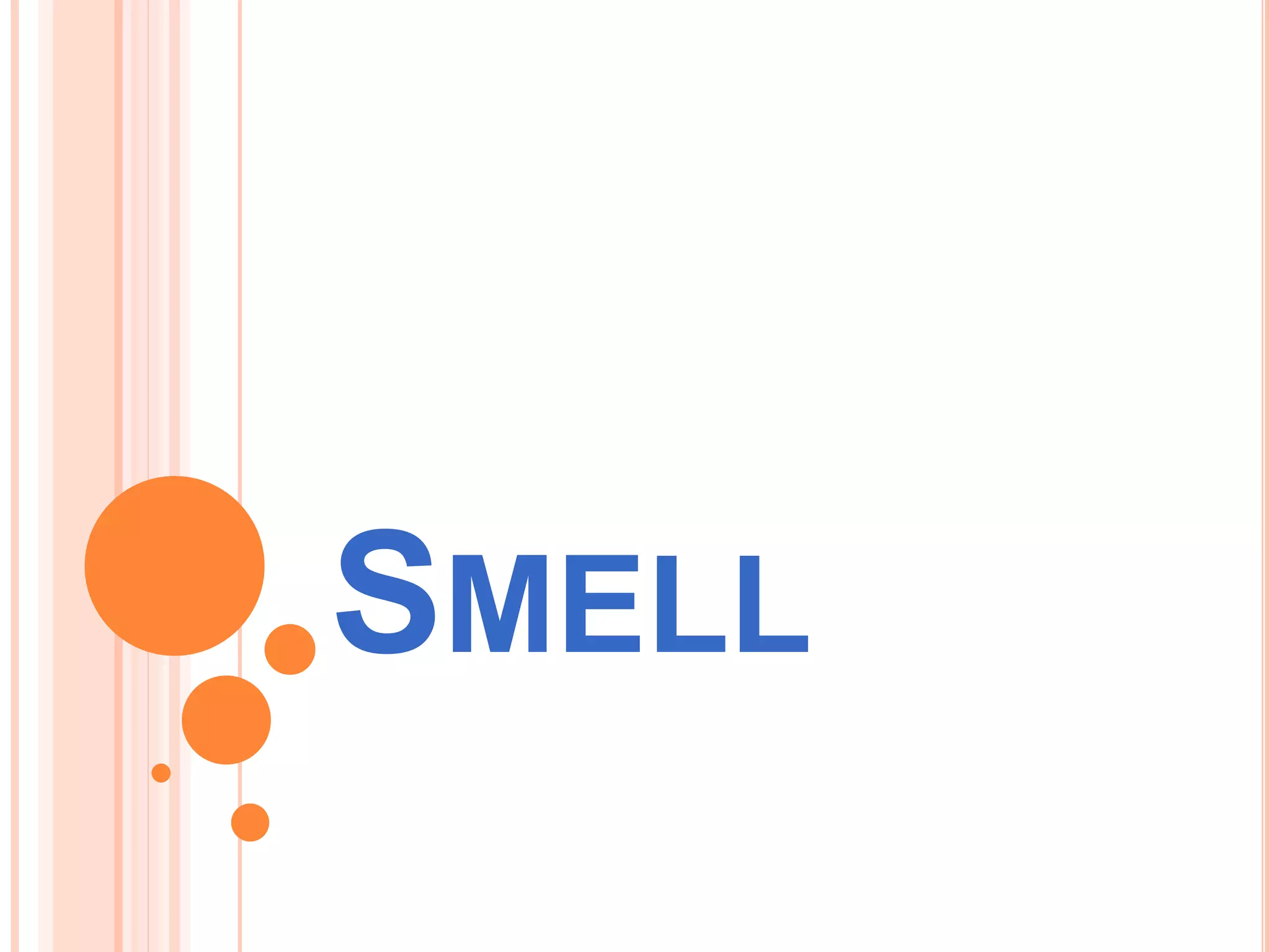 Smell | PPT