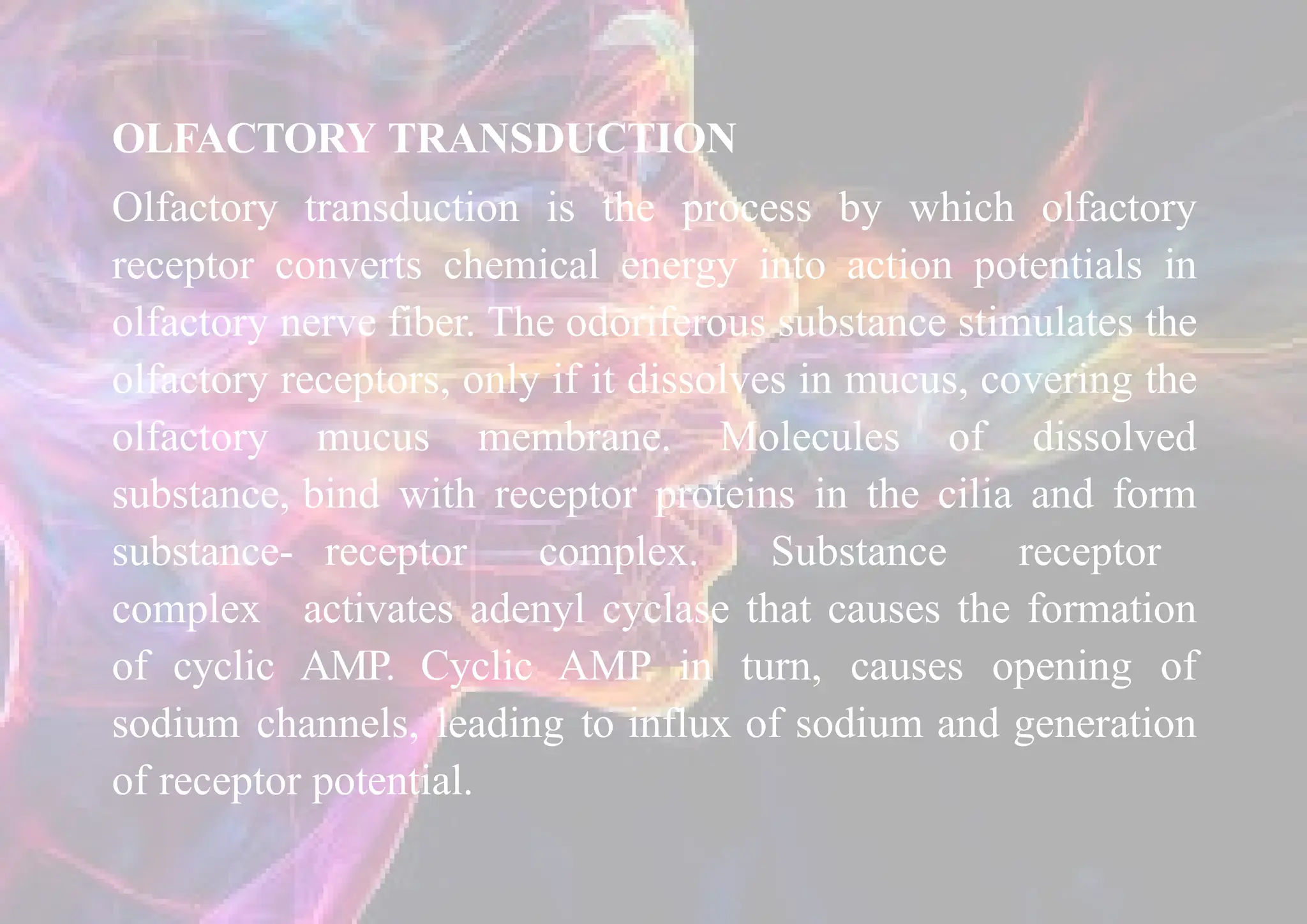 Physiology of SMELL - Copy.pptx xxxxxxx | PPTX