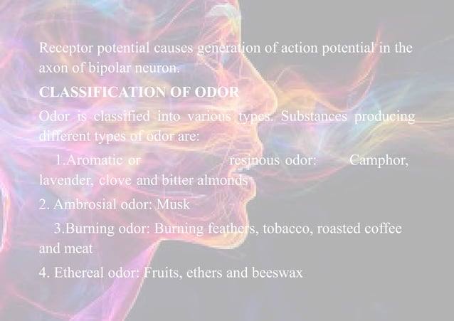 Physiology of SMELL - Copy.pptx xxxxxxx | PPT