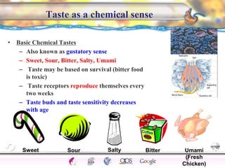 Gustation and Olfaction | PPTX