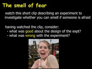 Experimental design: smell of fear | PPT