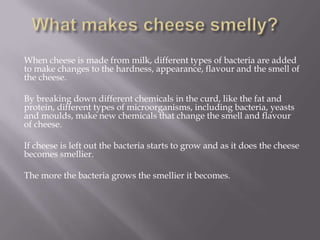Smell the cheese | PPTX