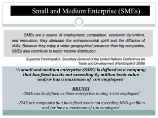smes.pptx | Small and Medium-sized Business | Business