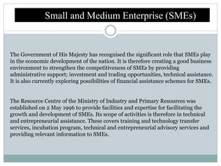 smes.pptx | Small and Medium-sized Business | Business