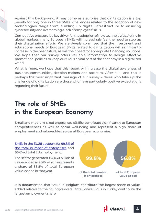 The Digitalization of European SMEs | PDF | Small and Medium-sized Business | Business