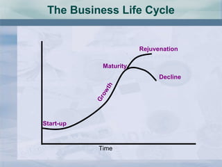 SMEs and Decision Making | PPT