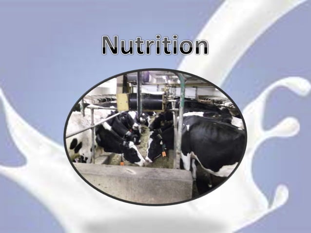 Student Managed Farm Final Dairy Presentation 2012 | PPTX