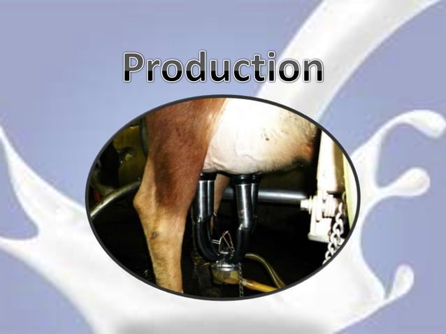 Student Managed Farm Final Dairy Presentation 2012 | PPTX