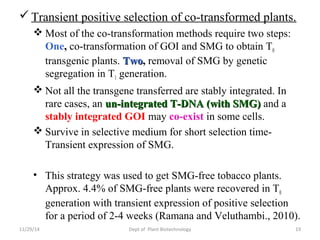 Strategies to Remove Selectable Marker Genes from Transgenic Plants | PPT