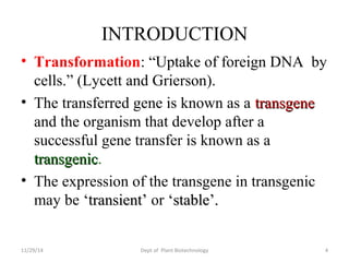 Strategies to Remove Selectable Marker Genes from Transgenic Plants | PPT