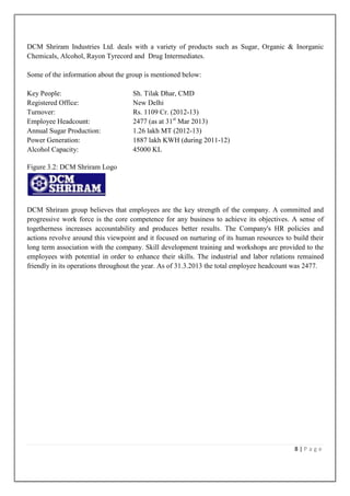 Strategy Report - Daurala Sugar Works | DOCX