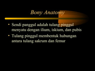 Hip joint | PPT