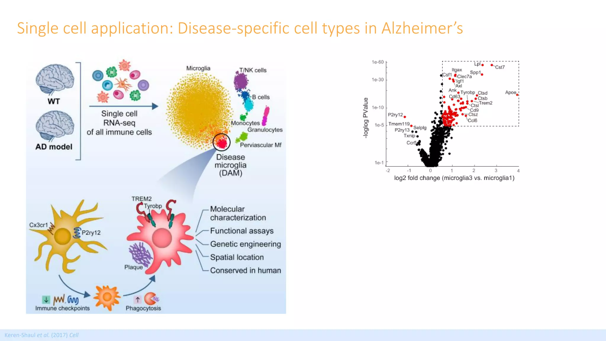 Single-Cell Sequencing for Drug Discovery: Applications and Challenges ...