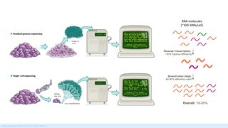 Single-Cell Sequencing for Drug Discovery: Applications and Challenges ...