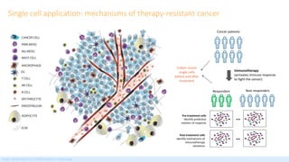 Single-Cell Sequencing for Drug Discovery: Applications and Challenges ...