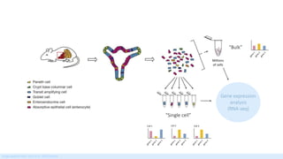 Single-Cell Sequencing for Drug Discovery: Applications and Challenges ...