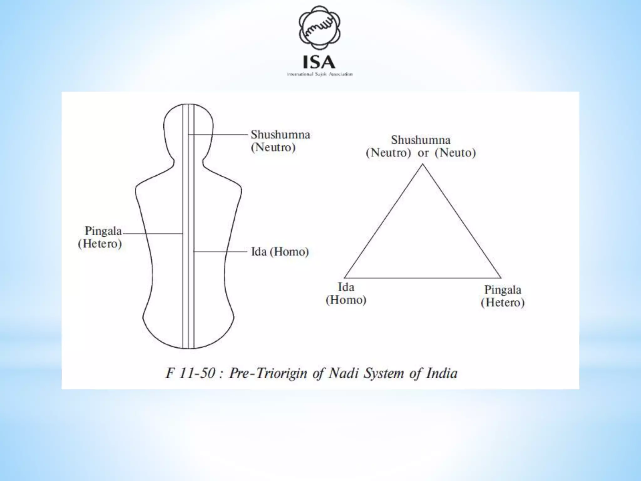 Sujok The Ultimate Healing Tool 2 | PPTX