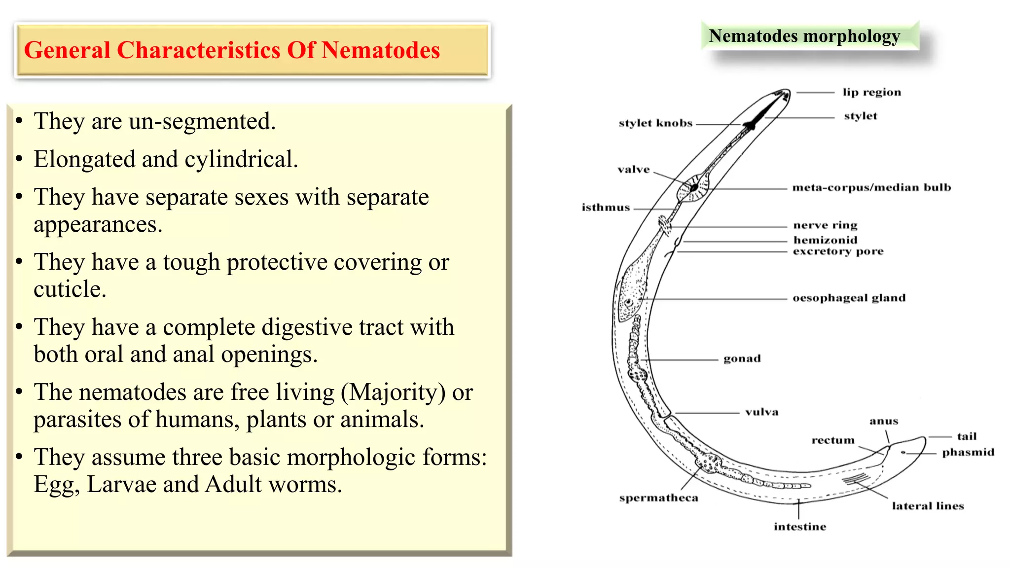 Sminar biology .pptx