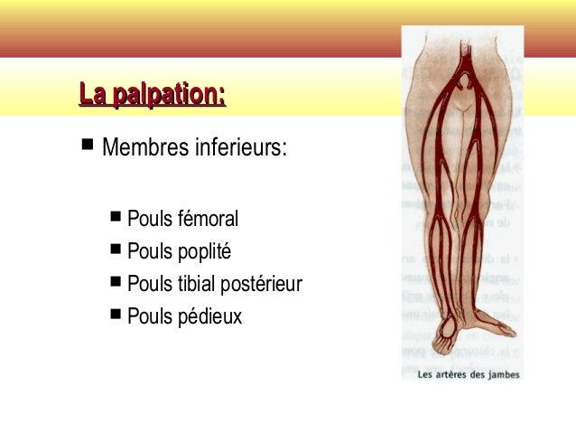Sémiologie artério veineuse