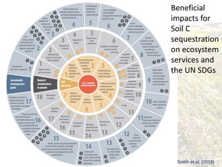 The role of soil organic carbon as a nature-based solution and global ...
