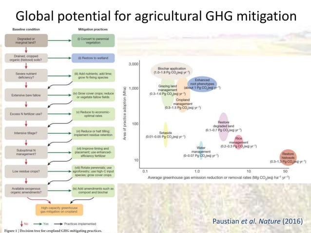 The role of soil organic carbon as a nature-based solution and global ...