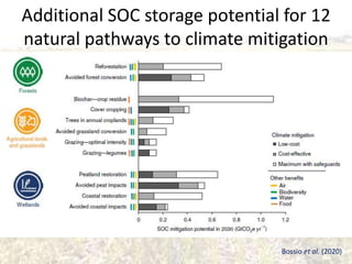 The role of soil organic carbon as a nature-based solution and global ...
