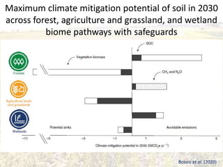The role of soil organic carbon as a nature-based solution and global ...