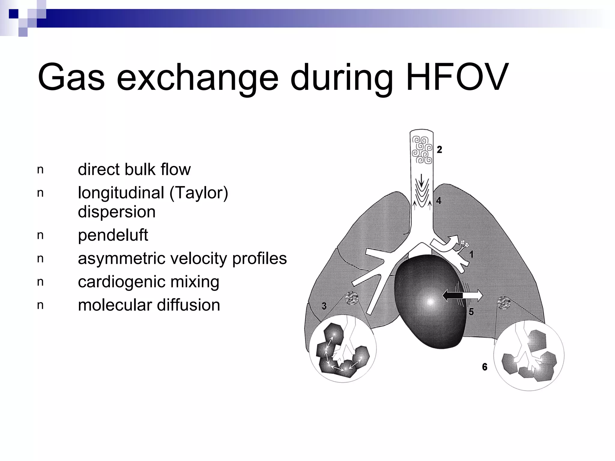 Smith hfov adult ards july 2007 | PPT