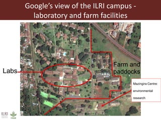 ILRI overview | PPTX