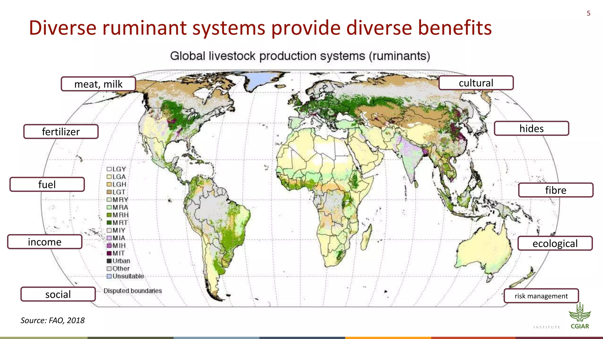 Ruminant livestock production systems and imperatives for sustainable ...