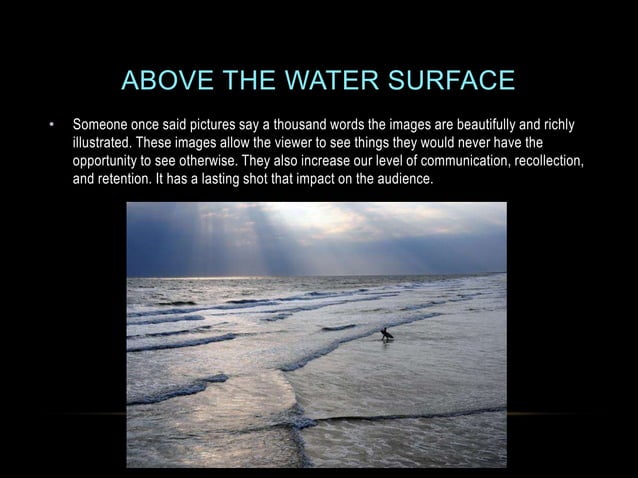 Smithsonian ocean portal presentation draft | PPTX | Internet | Computing