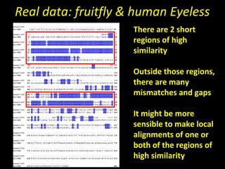 The Smith Waterman algorithm | PPT