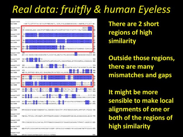 The Smith Waterman Algorithm Ppt 2625