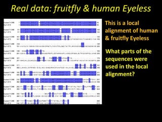 The Smith Waterman algorithm | PPT