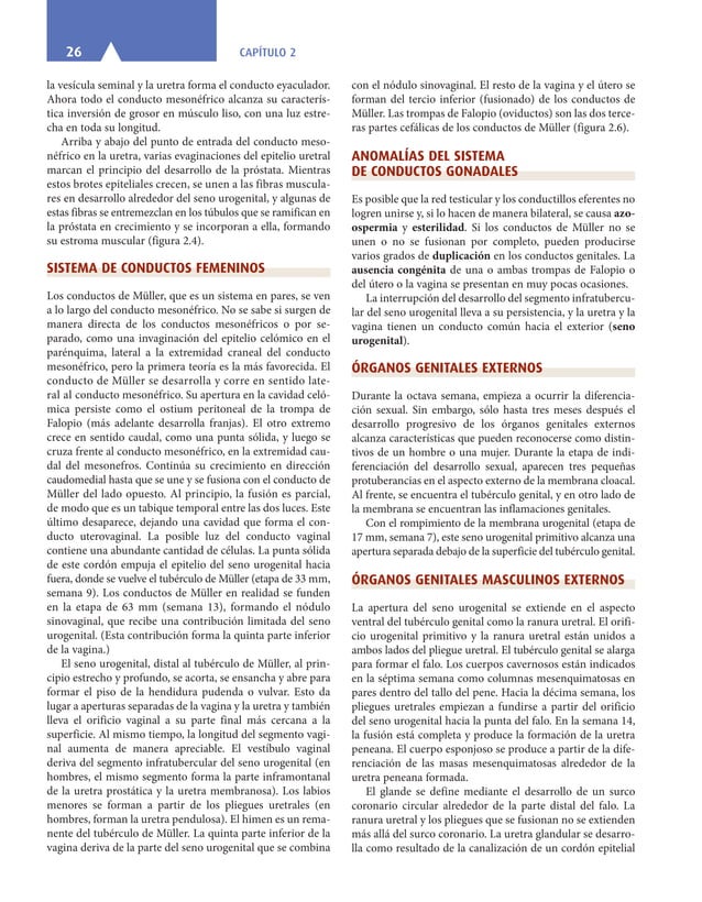 Smith y Tanagho - Urologia General 18a ed.pdf