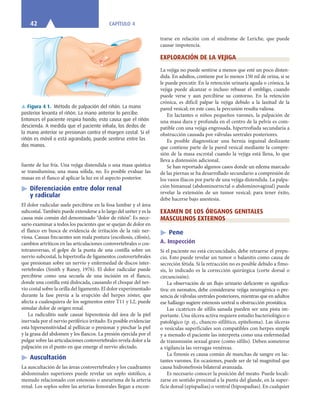 Smith y Tanagho - Urologia General 18a ed.pdf