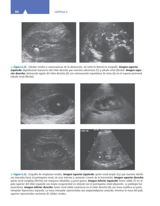 Smith y Tanagho - Urologia General 18a ed.pdf