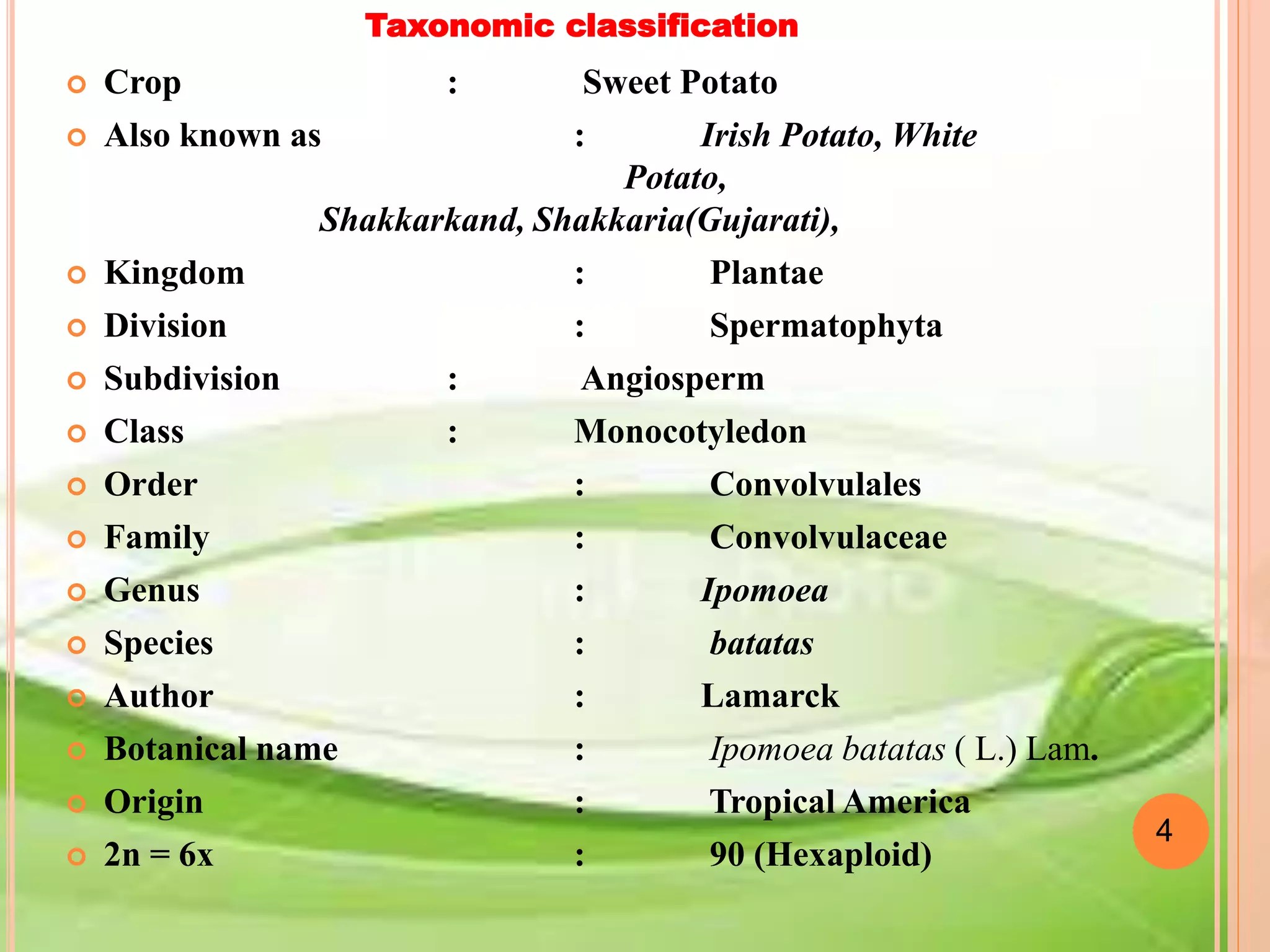 Systematics and production technology of sweet potato | PPTX
