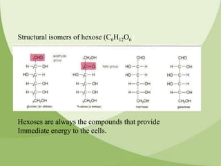 SML- CARBOHYDRATES.pptx