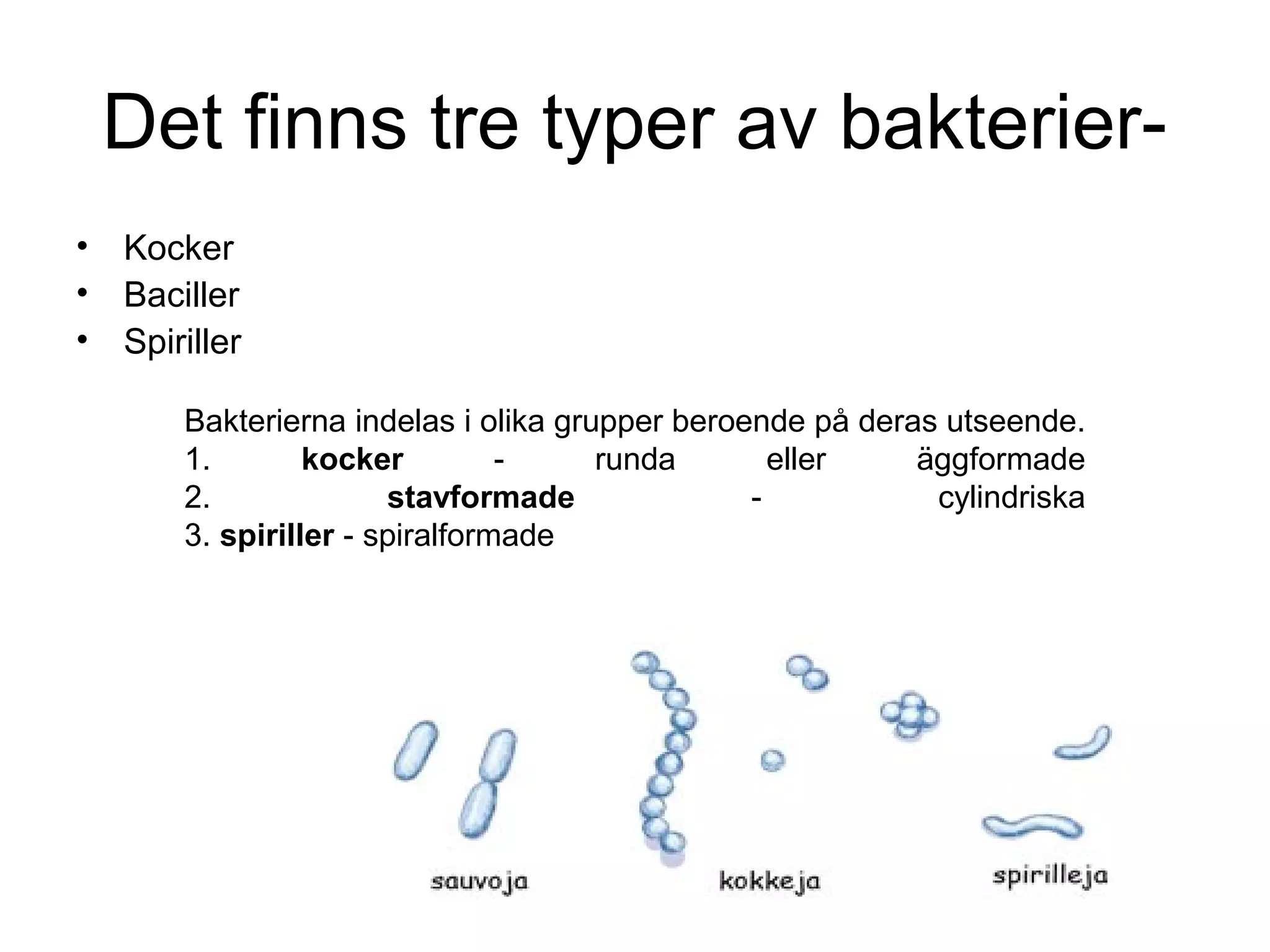 Smmanfattning i biologi åk 7 liv | PPT