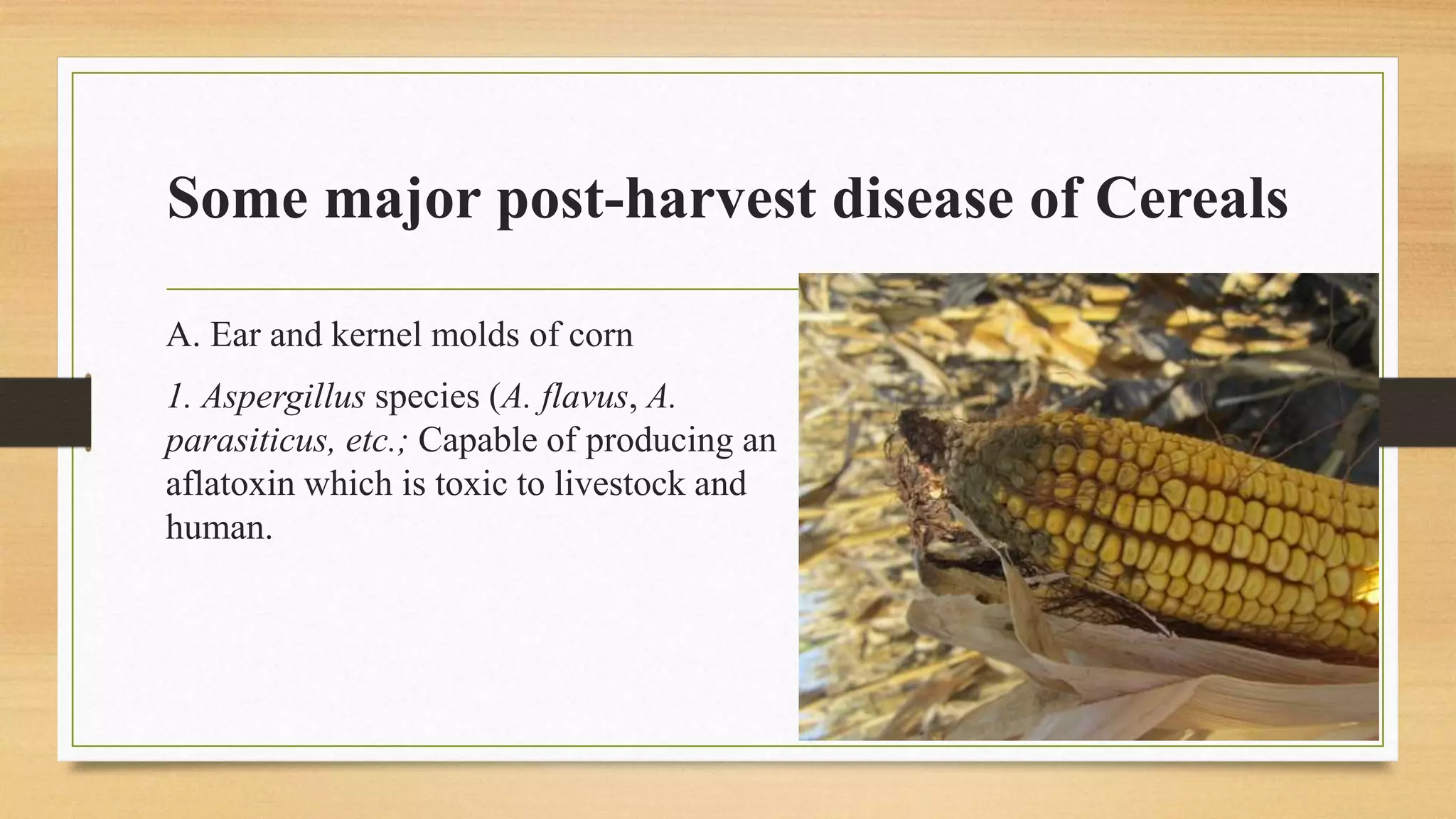 Post Harvest Diseases.pptx