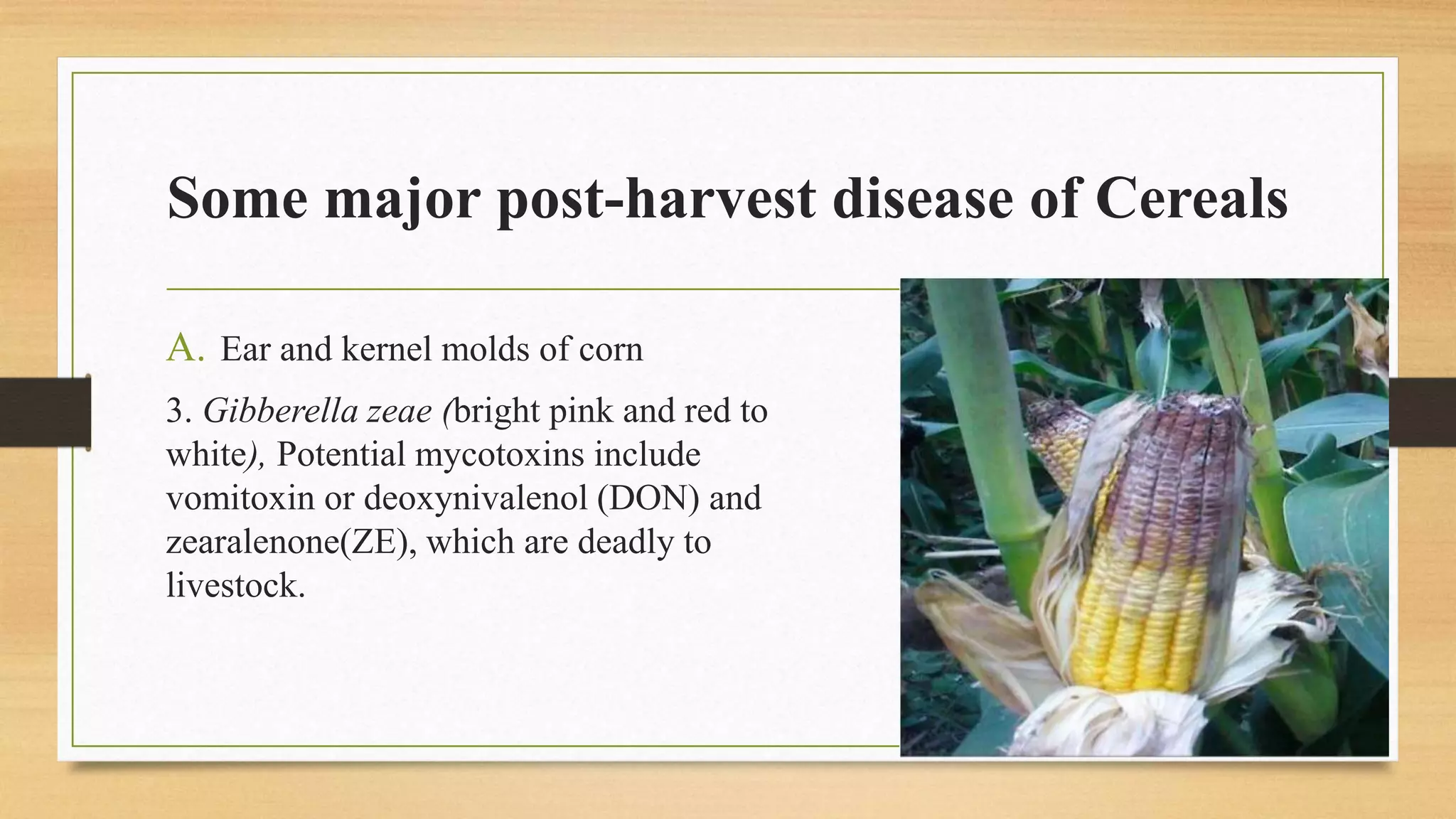 Post Harvest Diseases.pptx