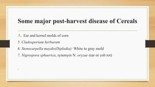 Post Harvest Diseases.pptx