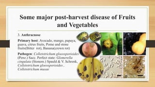 Post Harvest Diseases.pptx