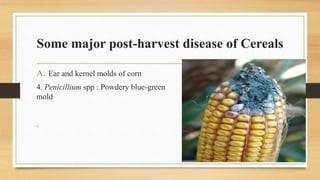 Post Harvest Diseases.pptx