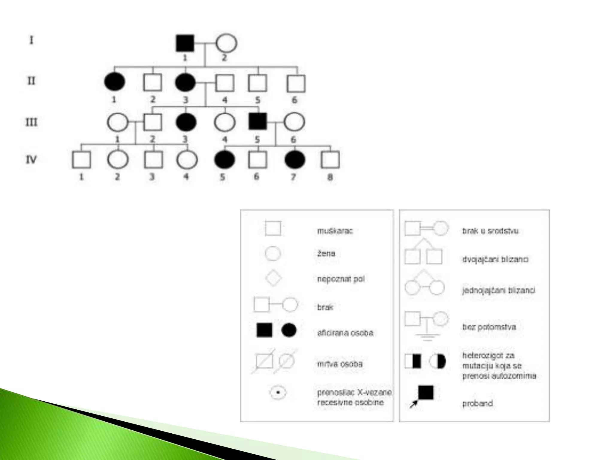 Humana genetika rodoslovno stablo | PPSX