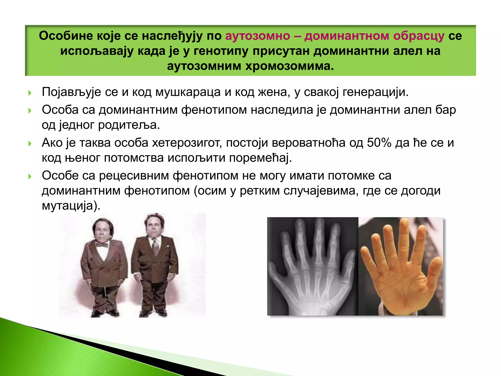 Humana genetika rodoslovno stablo | PPSX